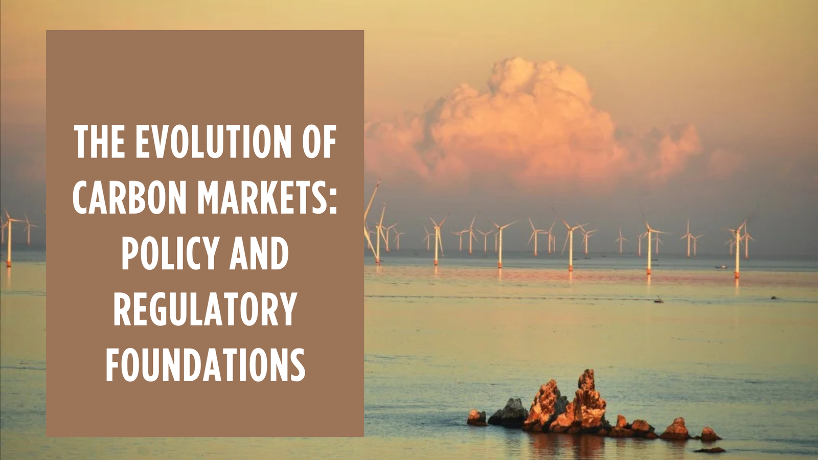 Evolution of Carbon Markets: Policy and Regulatory Foundations ...